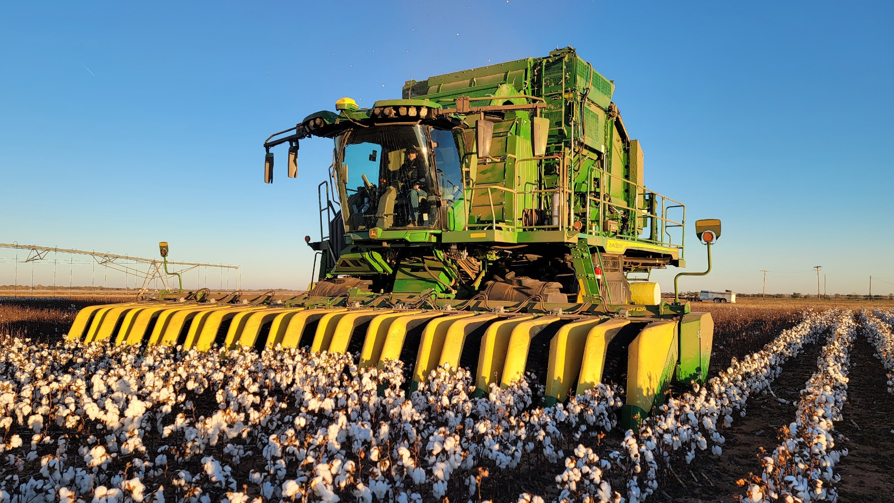 High Cotton: Williams family credits water, timeliness, varieties for ...