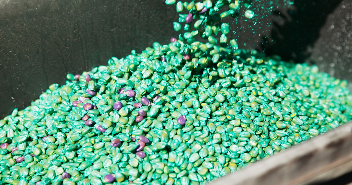 New Asgrow Dekalb seed varieties for 2026