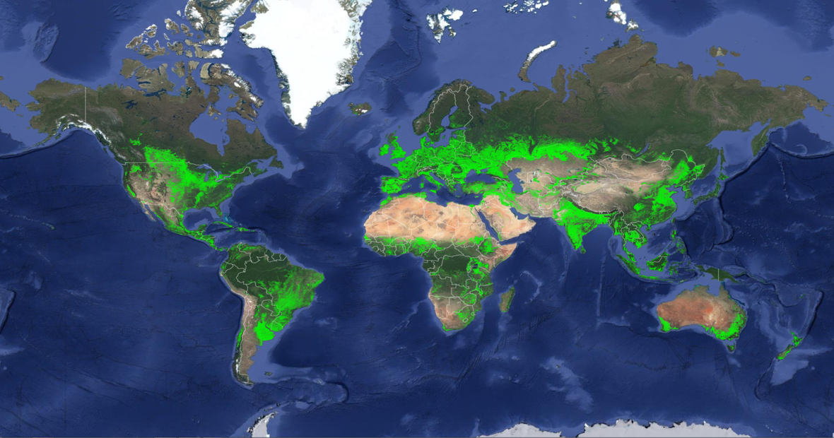 New interactive map pinpoints entire world’s cropland