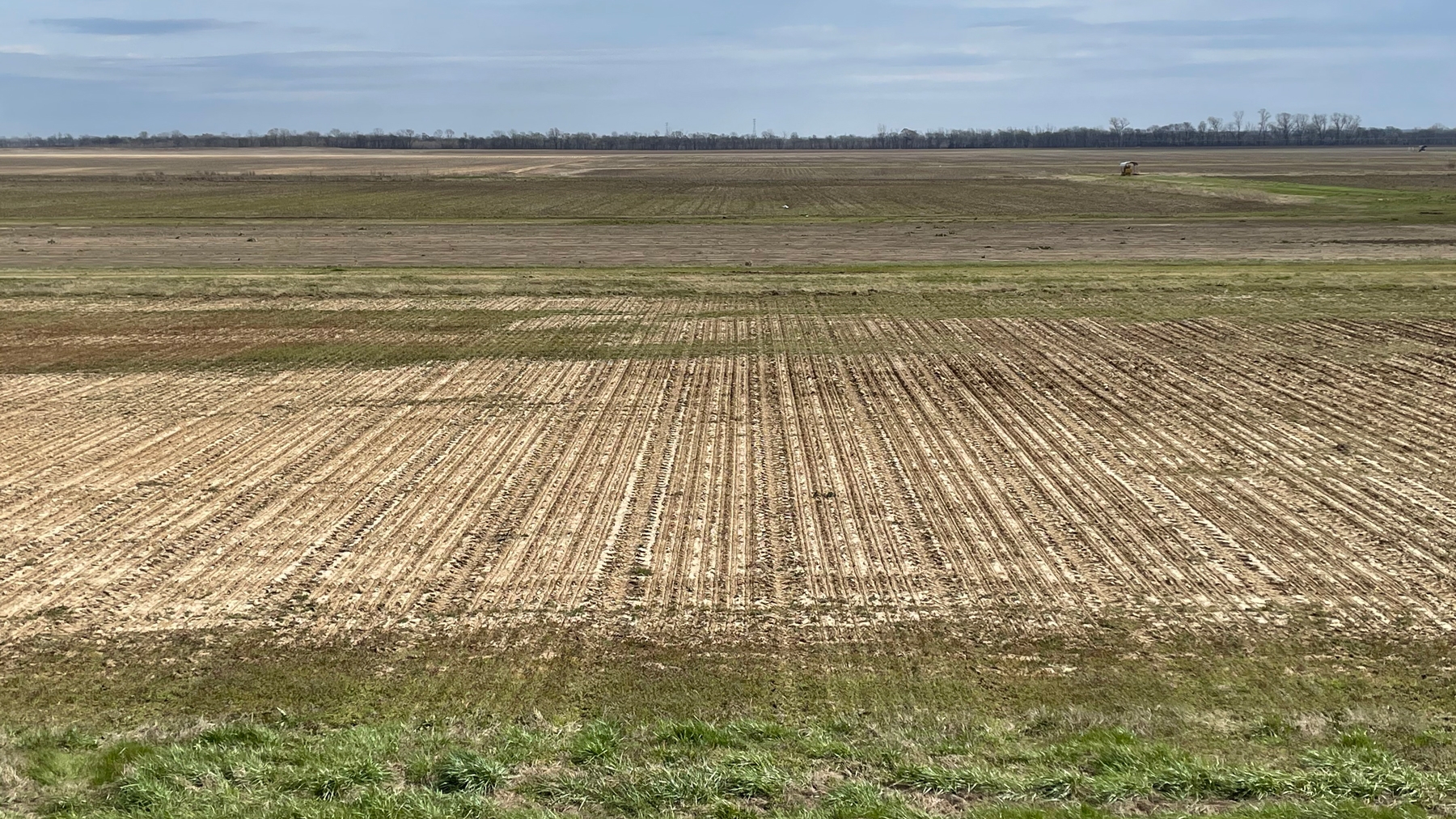 Results are in on Missouri rice research