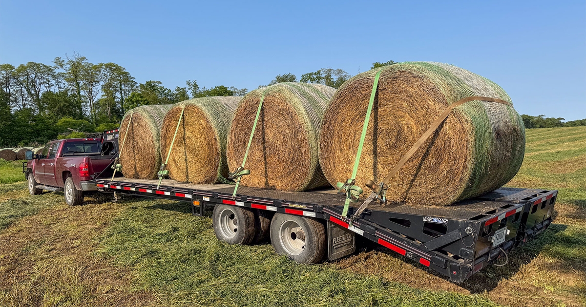 How to secure hay loads: 5 steps for safe and legal transport