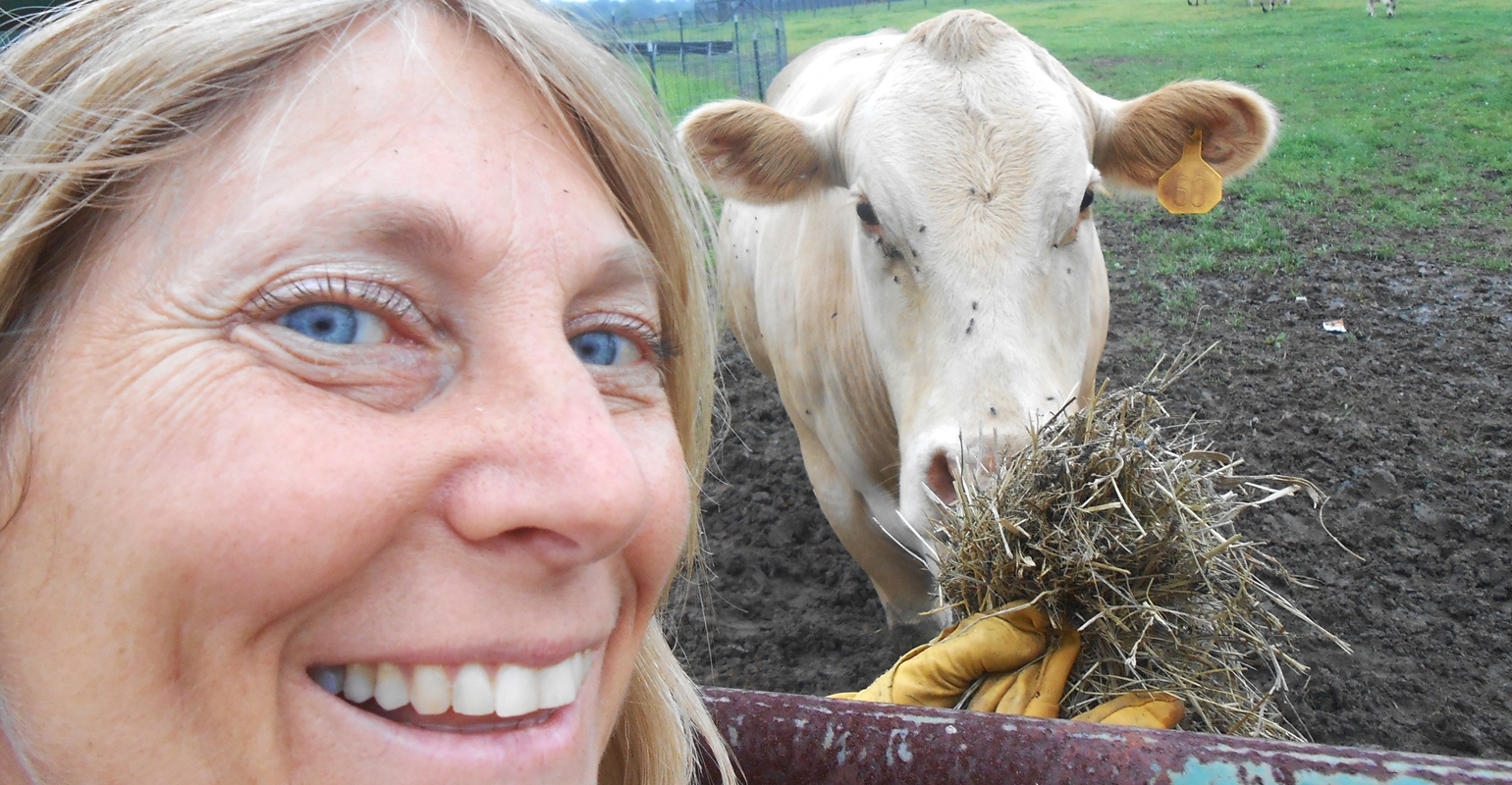 The secret to Cow 60’s long-standing work performance