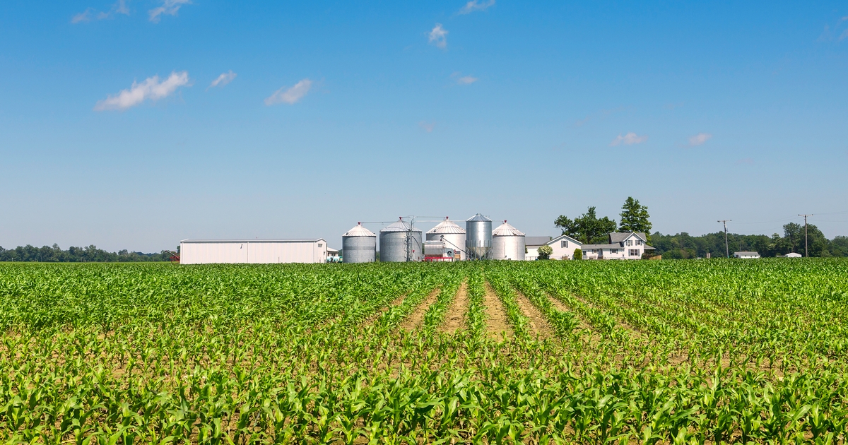 Ins and outs of Minnesota corporate farm law