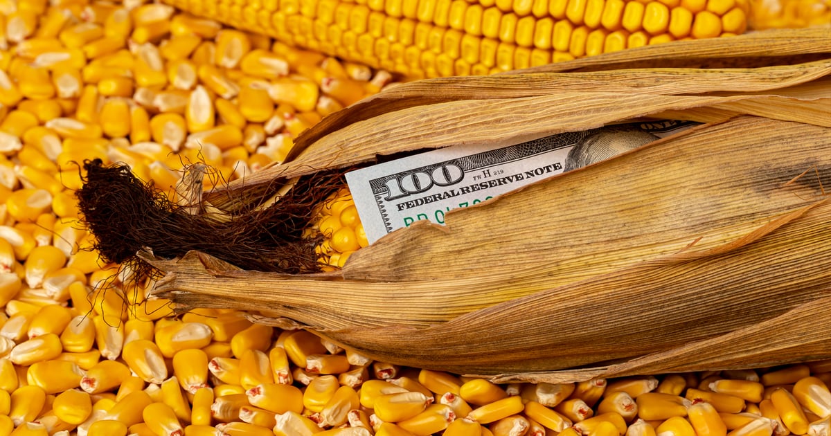 Learn to navigate farm uncertainty at KSU conferences