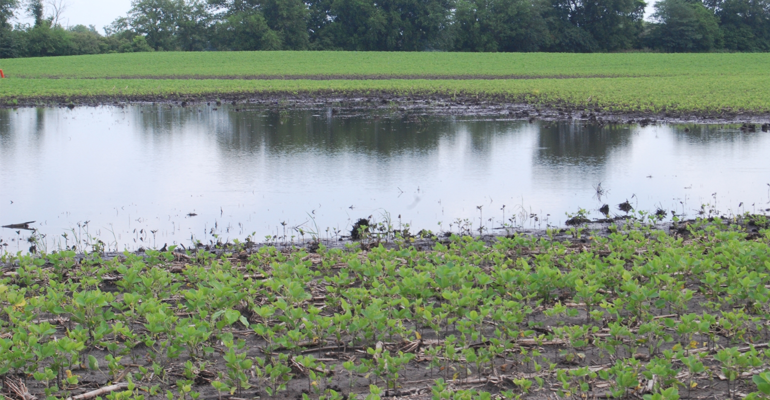 Edge-of-field conservation knowledge on the move