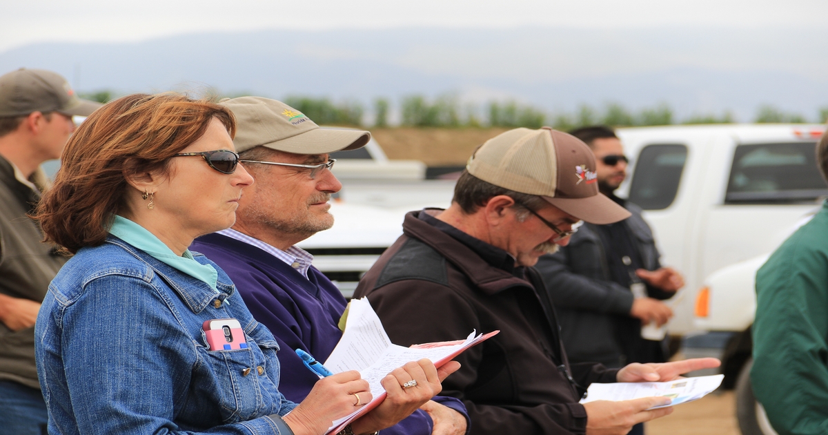 Santa Maria strawberry field day set for May 10, 2017