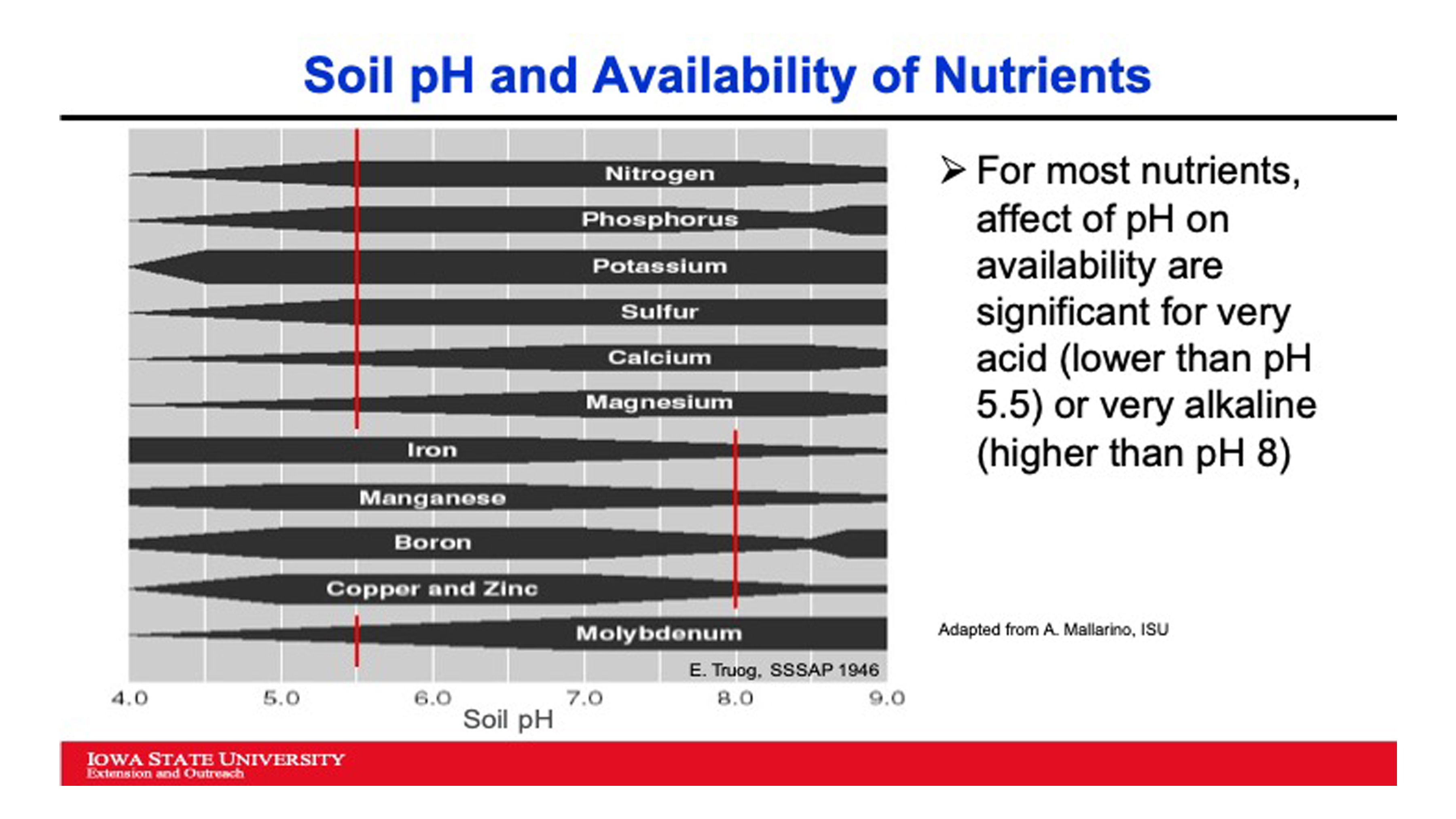 Soybeans pale and yellow? They may need lime