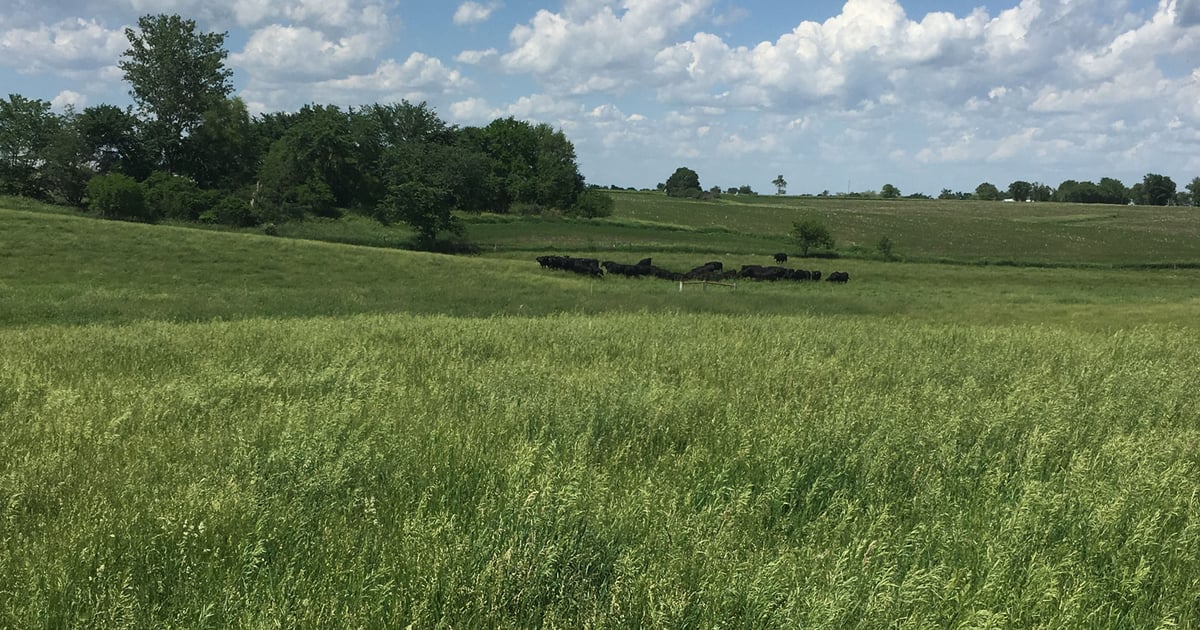 What to know when fertilizing pastures