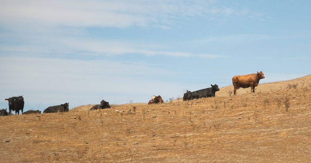 Drought preparation starts now