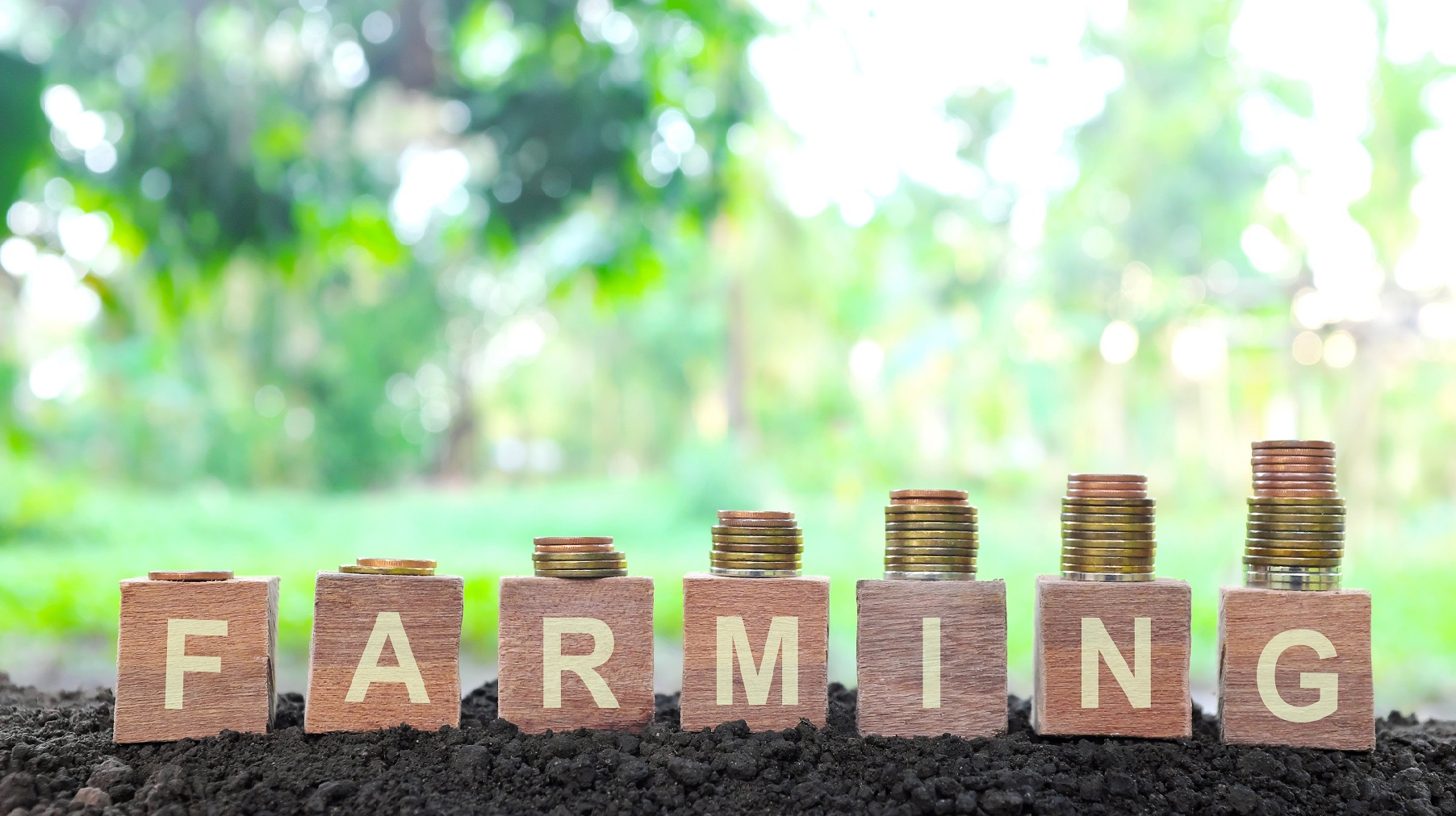 Do farm profits equal farm size?