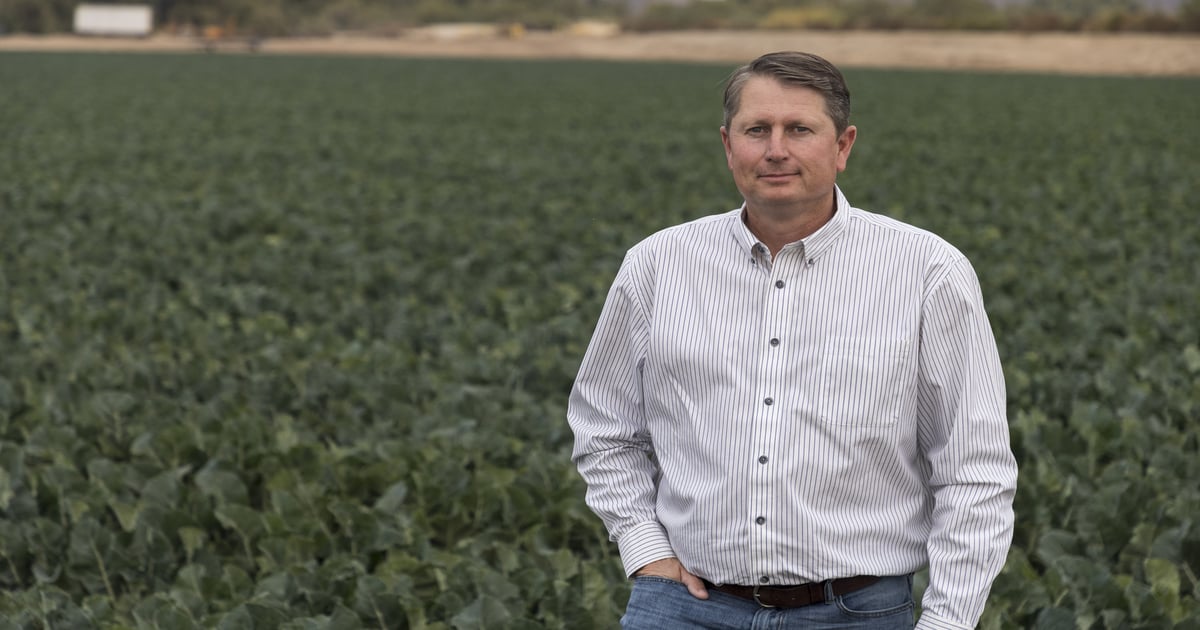 Yuma grower is new Arizona Farm Bureau president