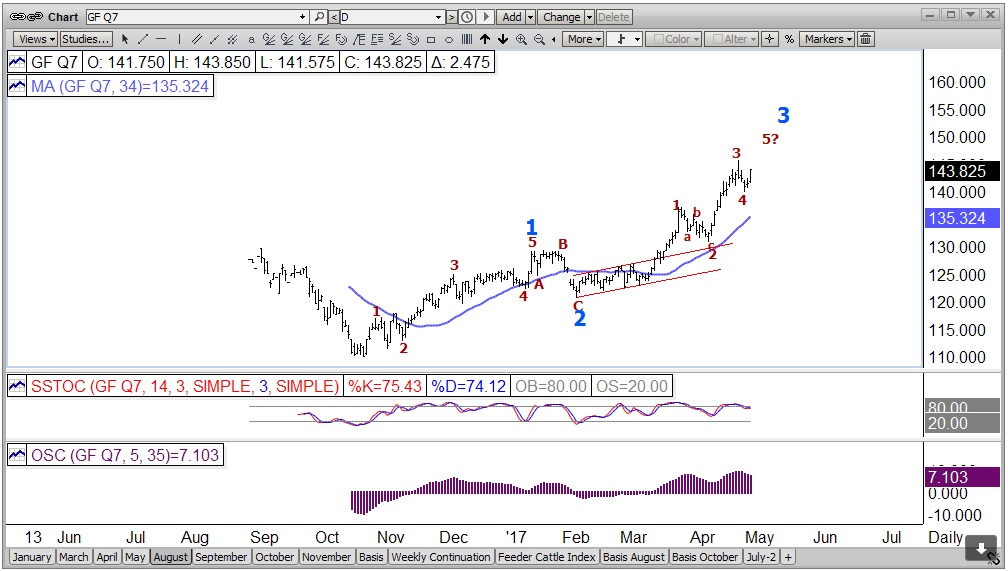 Basis still the key to fats and feeders