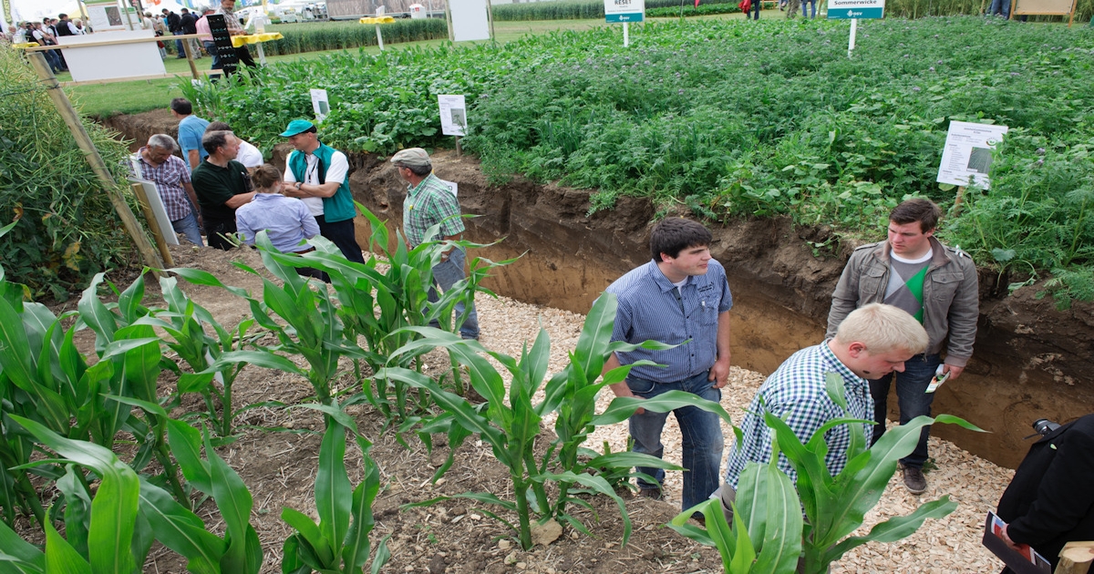 A farm field day with a German flair | Farm Progress