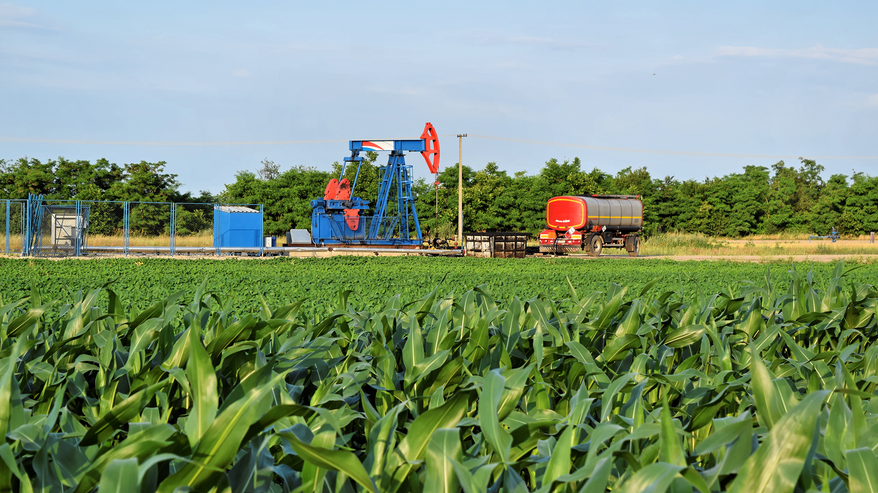 Corn recent news | Farm Progress