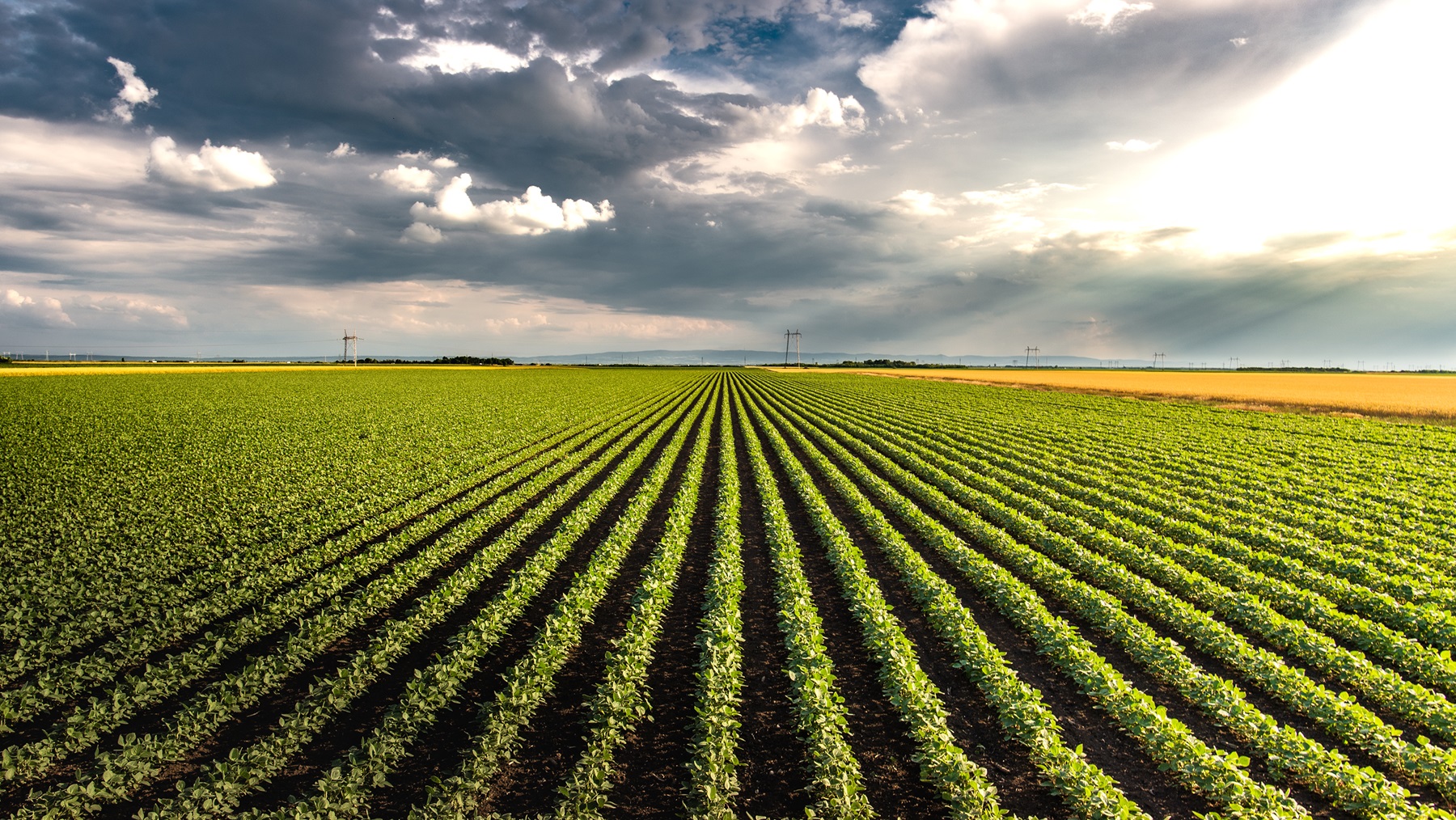 Health meets harvest: Agriculture's new frontier