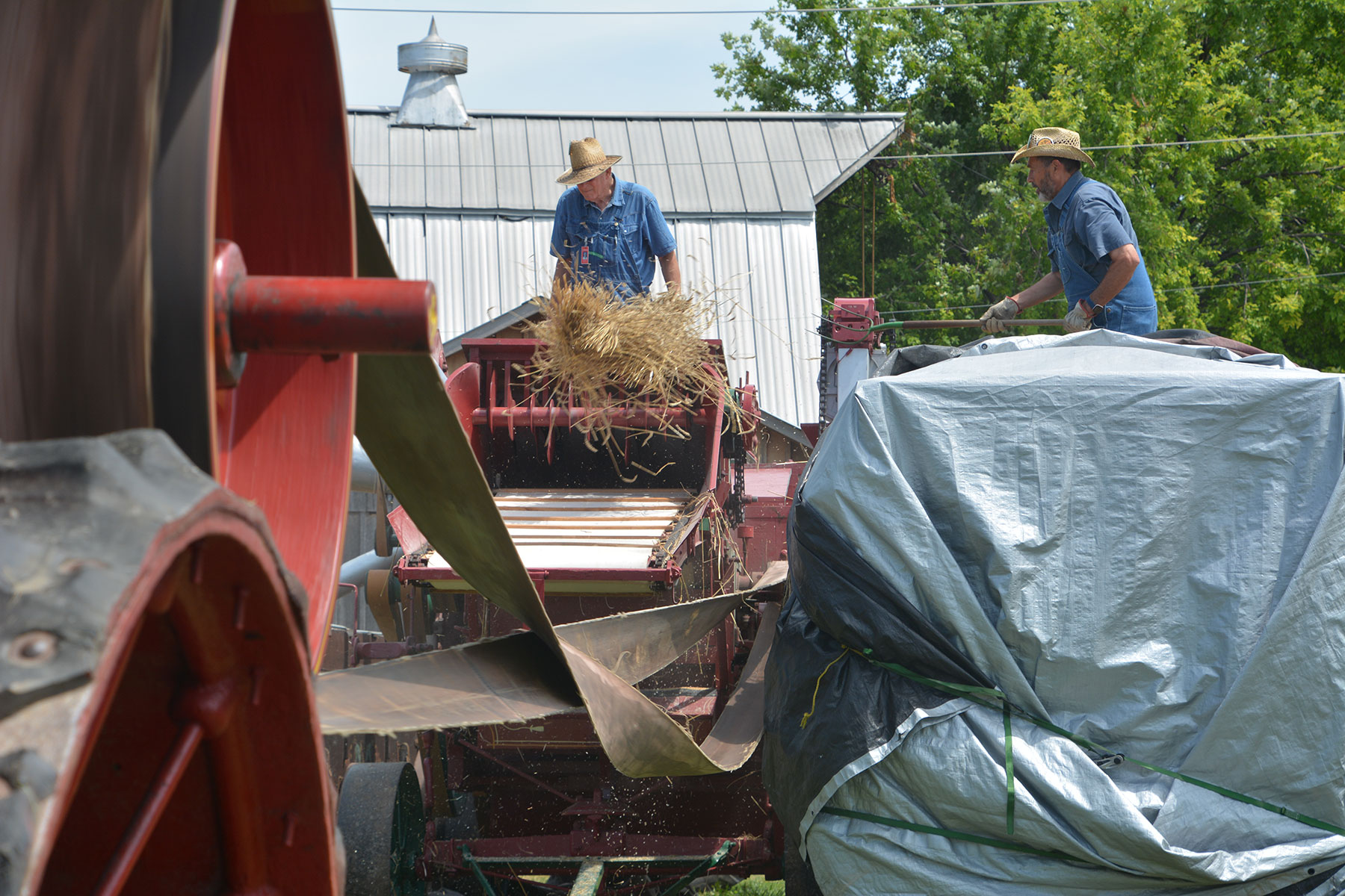 Threshing demonstrations still a hit at Pioneer Village
