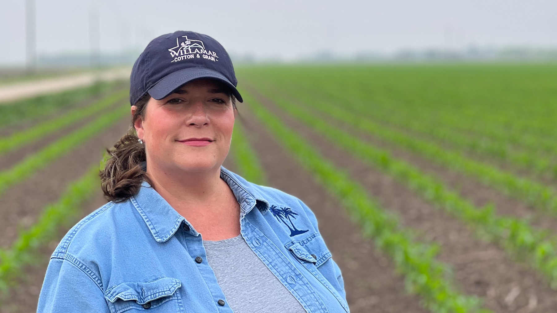 Corn recent news | Farm Progress