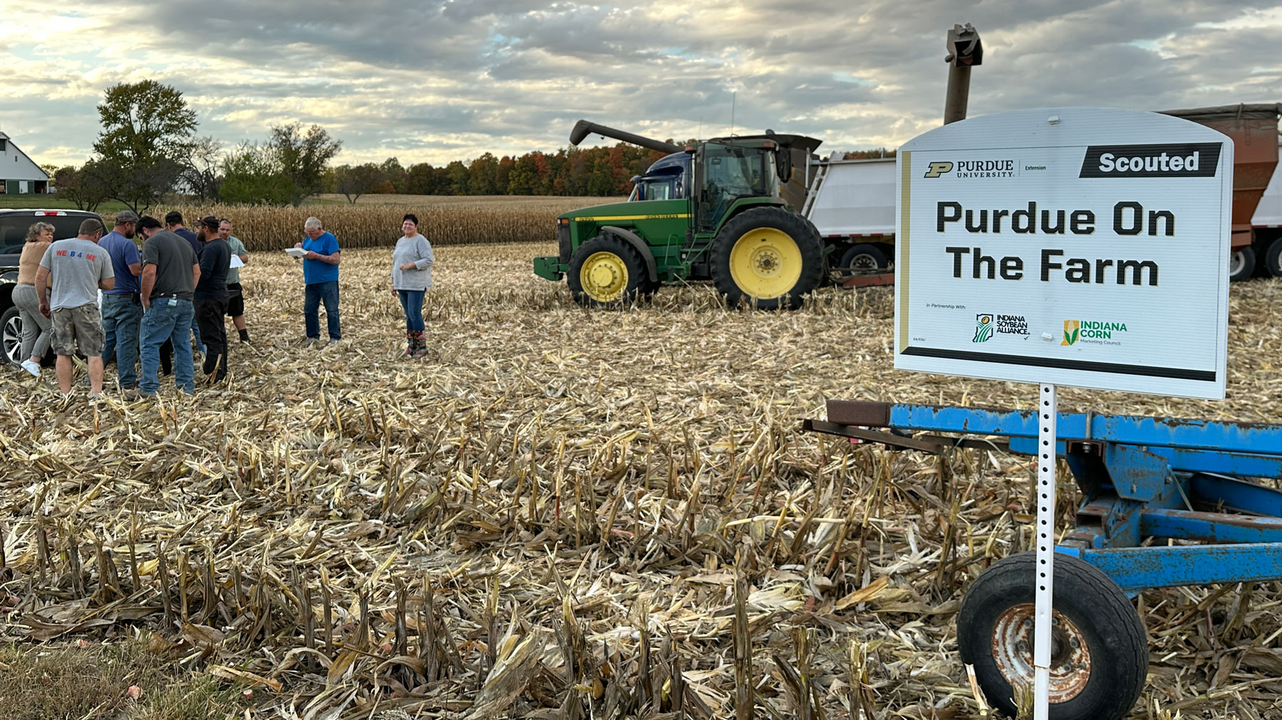 Inside look at how corn kernels develop