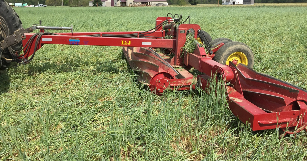 Cover crop crimping lessons from 2018