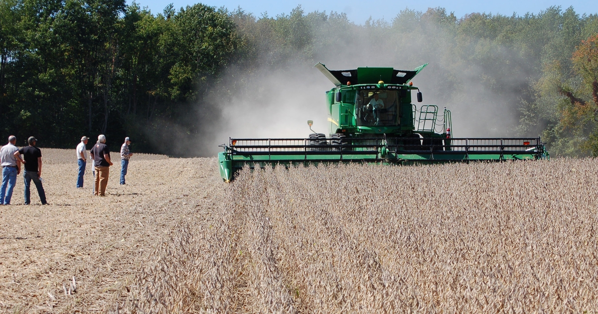 Is planting in 15-inch rows with split-row planters profitable?