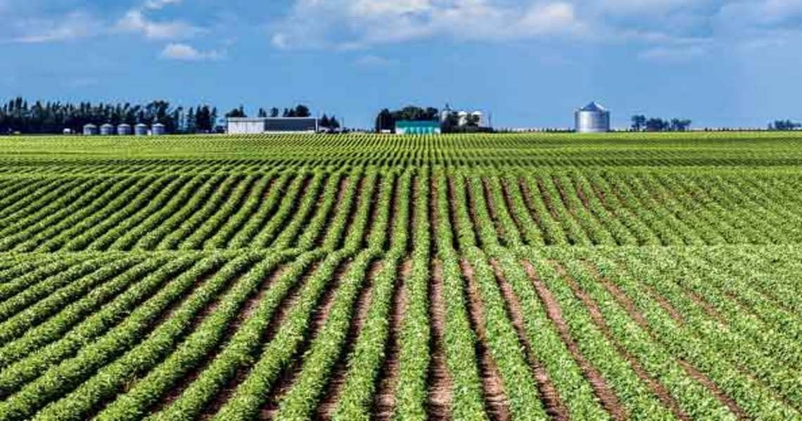 Mark your soybean calendars for June 21