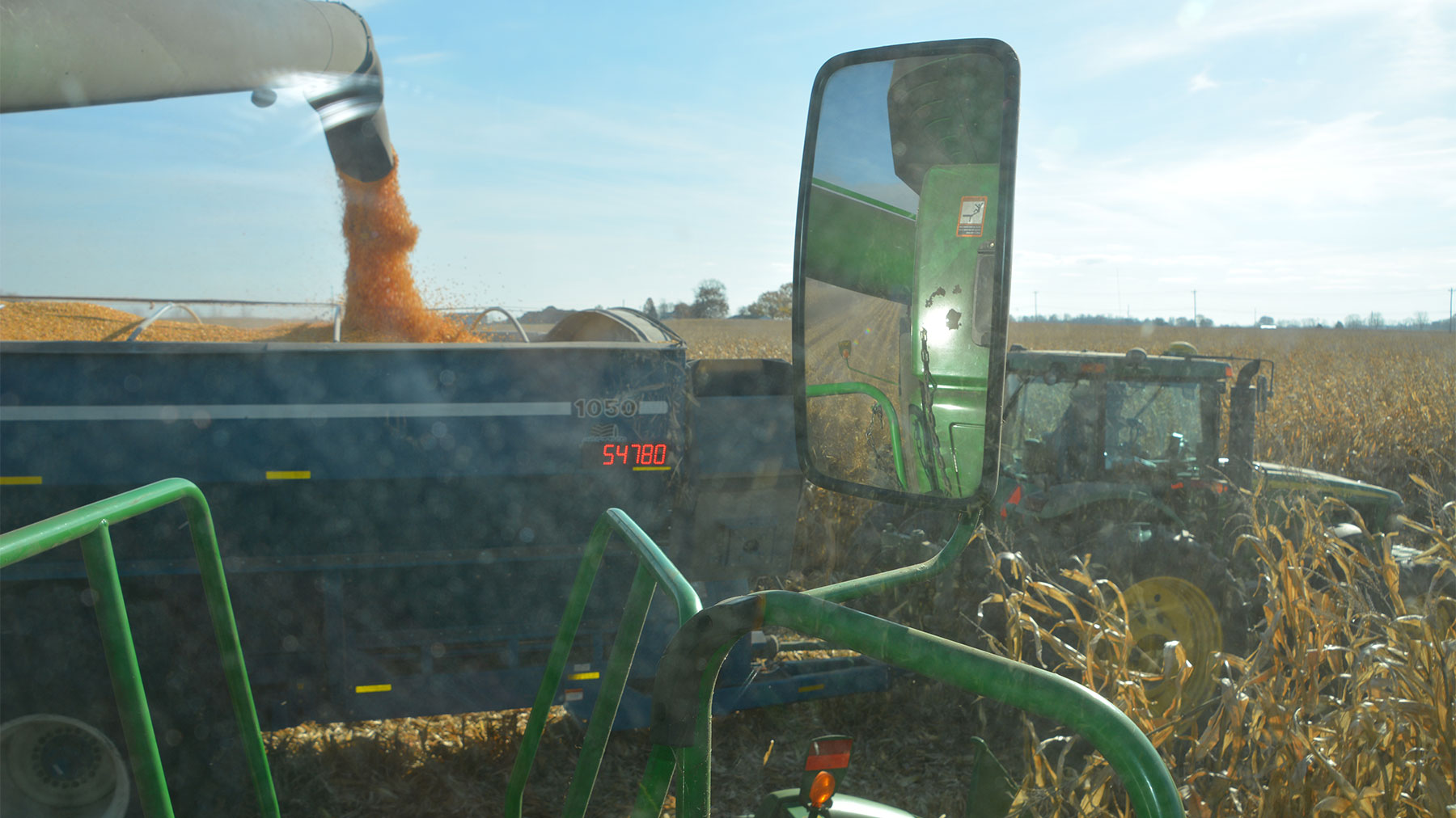 Kernel weight vs. test weight: How do they relate?