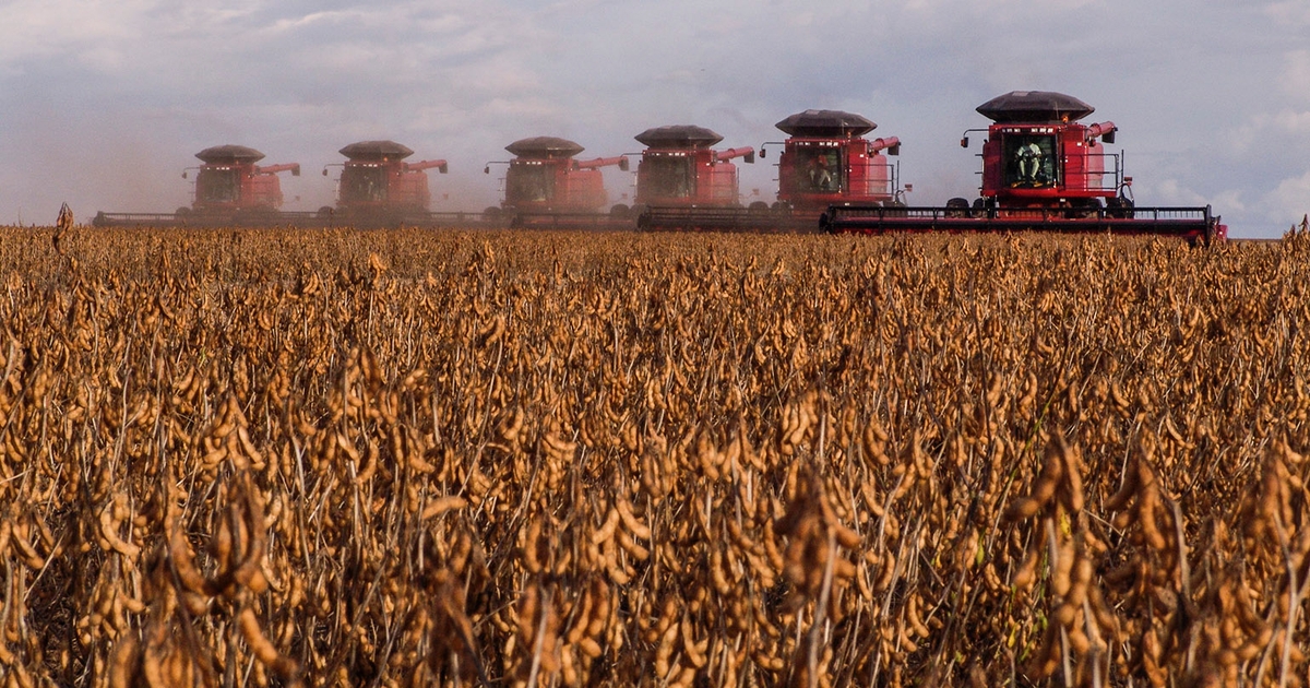 Why the South American soybean crop is more important than you think