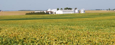 Focusing On Small and Mid-size Farms