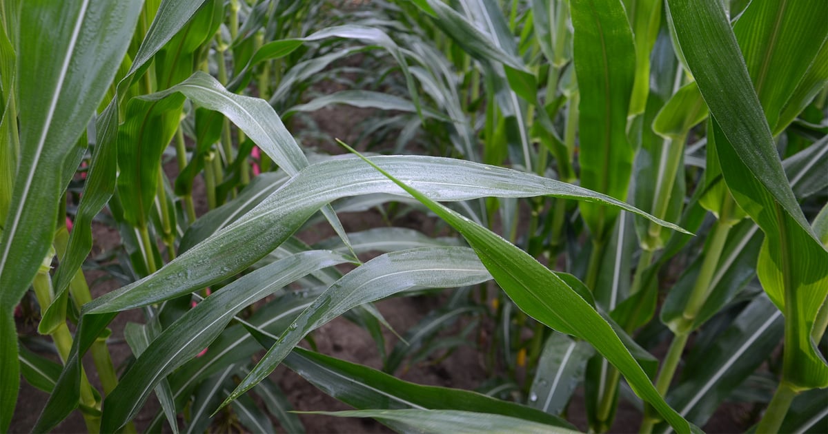 Tissue sampling: Measure it, manage it
