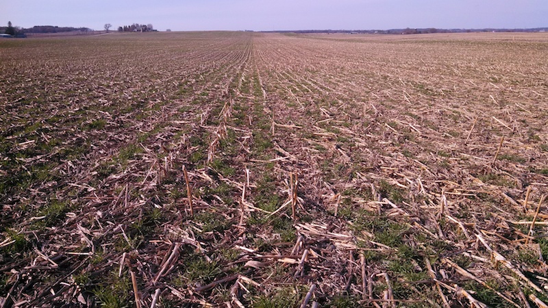 Aerial cover-crop seeding tips