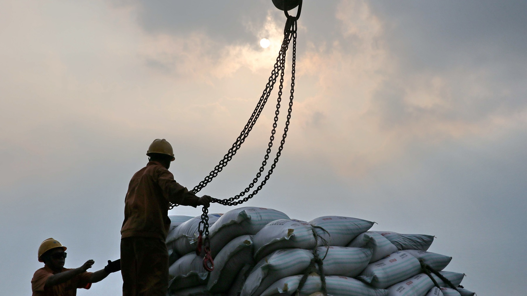 China taps new animal feed sources after falling out with Canada