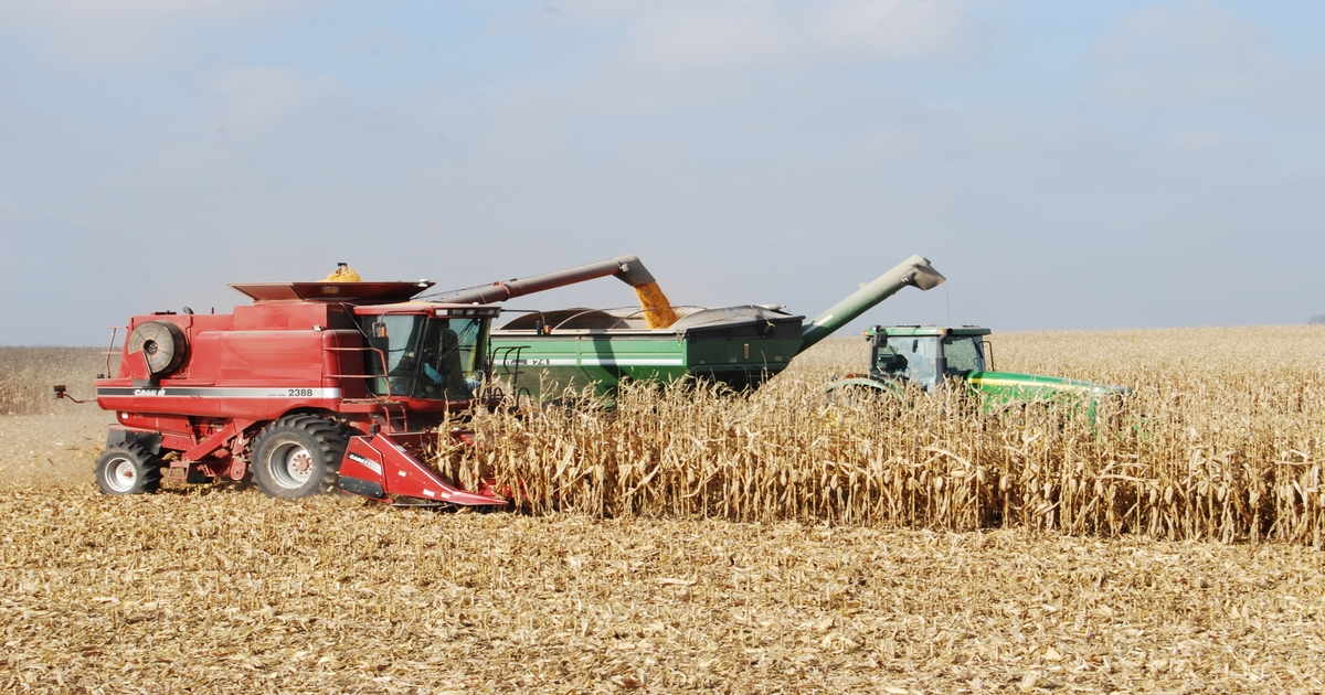 Iowa corn harvest 72% complete, soybeans 88%