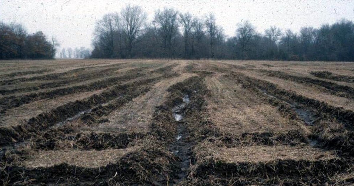 This fall's wet fields can become next year's ruts