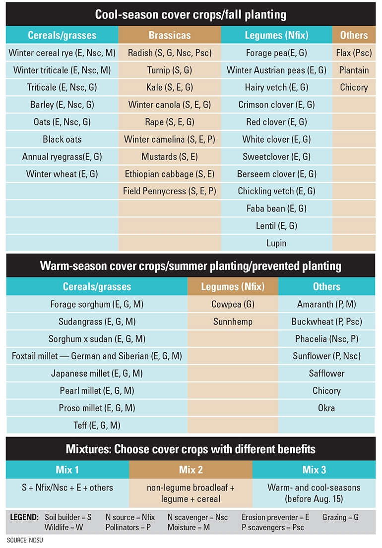 Choosing best cover crop seeds for soil health