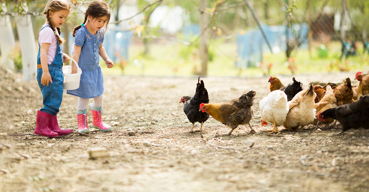 Keep farm kids safe this summer