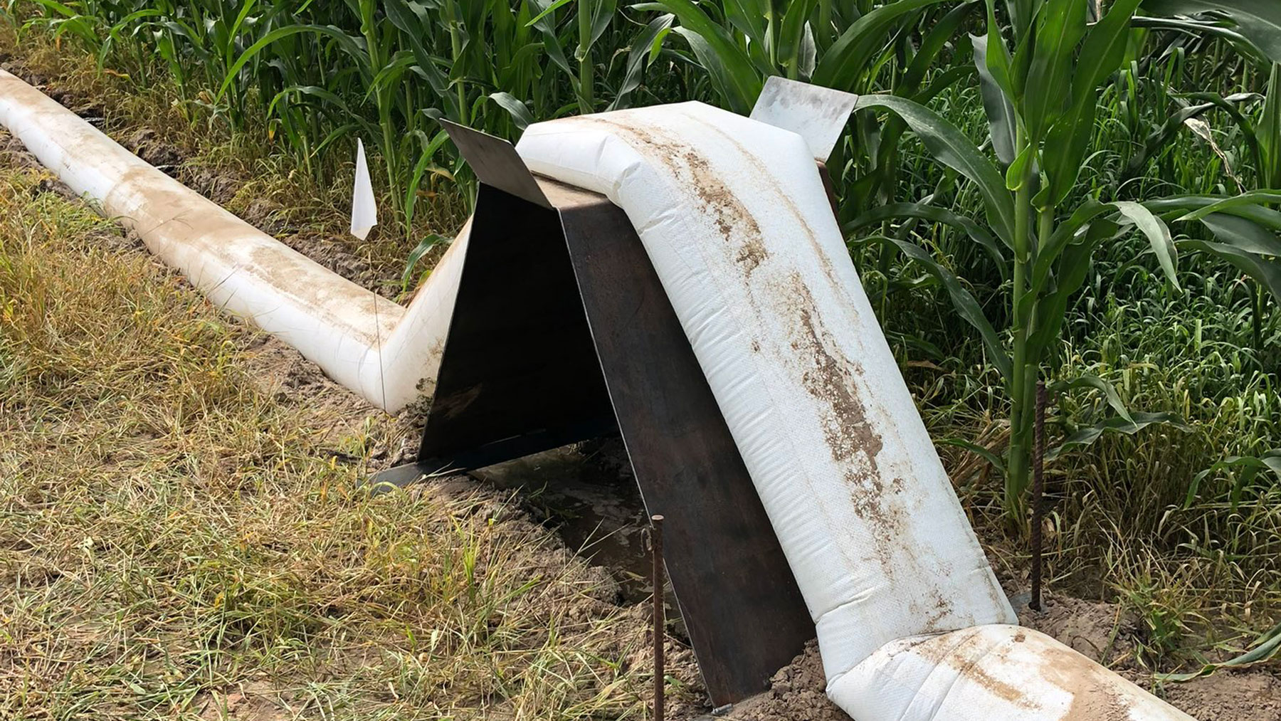 Furrow irrigation: Elevate the run for maximum efficiency