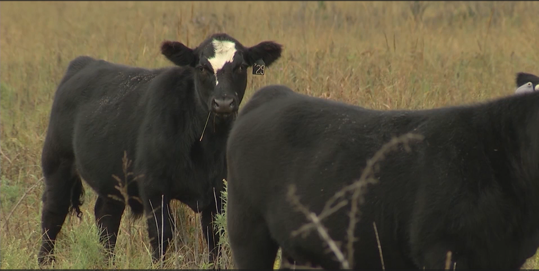 This Week In Agribusiness Recent News Farm Progress