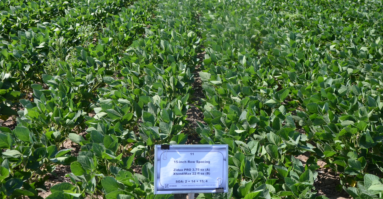 Narrow rows part of integrated weed management