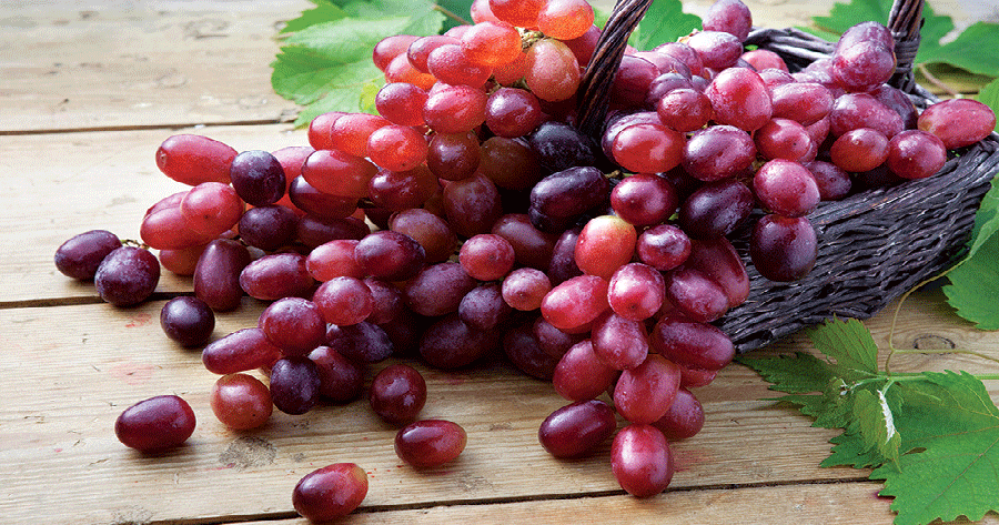 Cooling grapes quickly key to maintaining quality