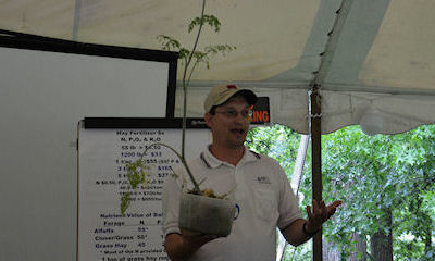 Livestock producers: Be on the lookout for poison hemlock in hay
