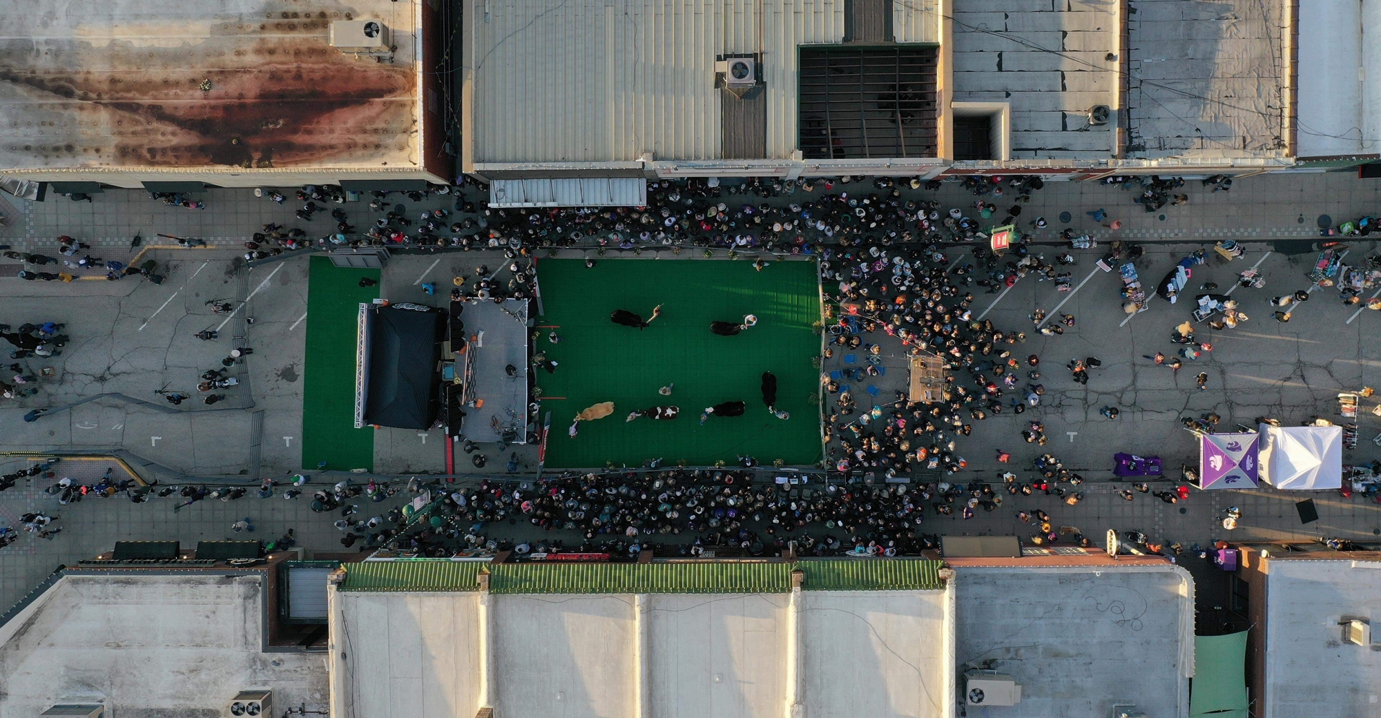 1st Aggieville Showdown brings cattle to the ’Ville | Farm Progress