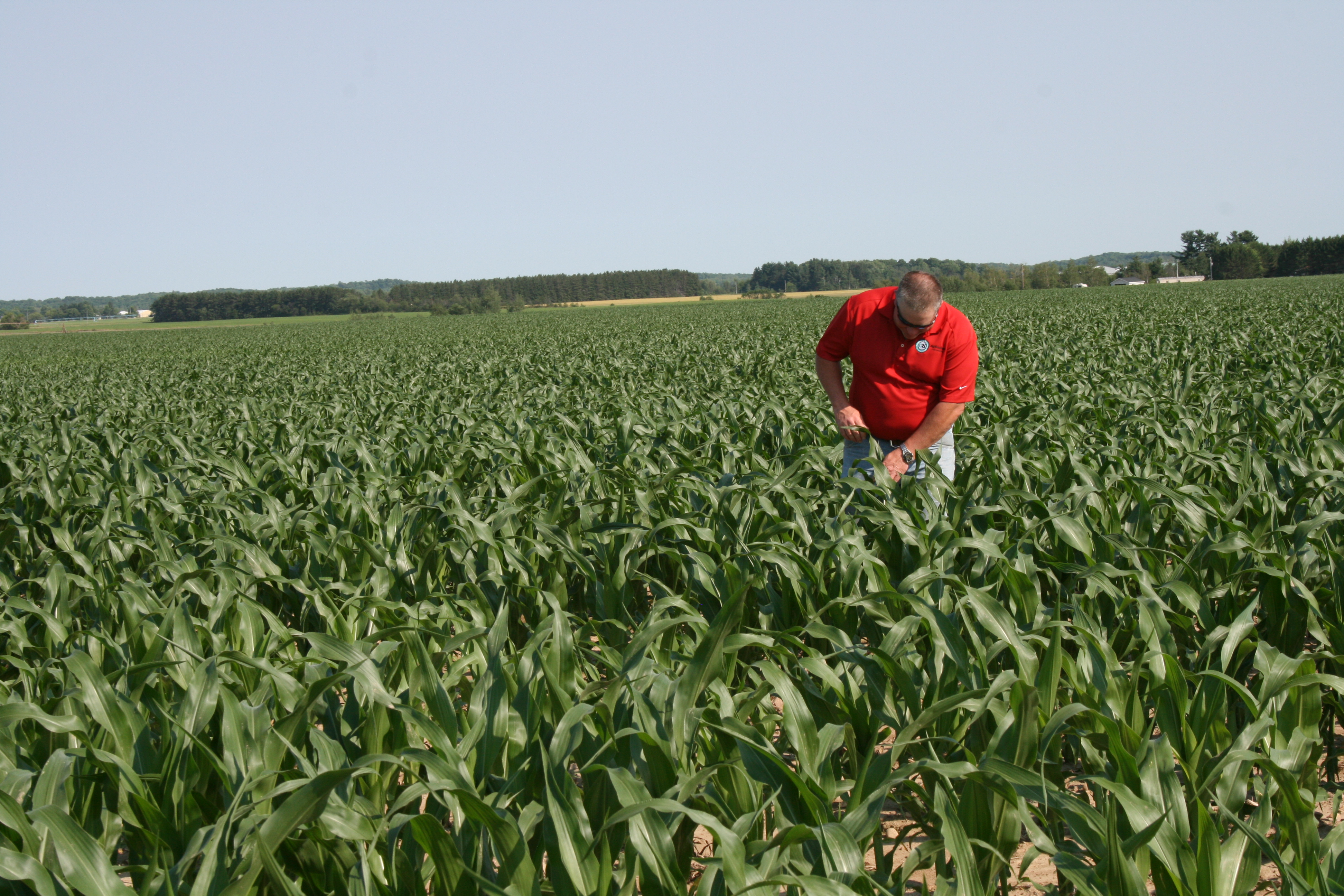 Maximize your time spent plant tissue sampling