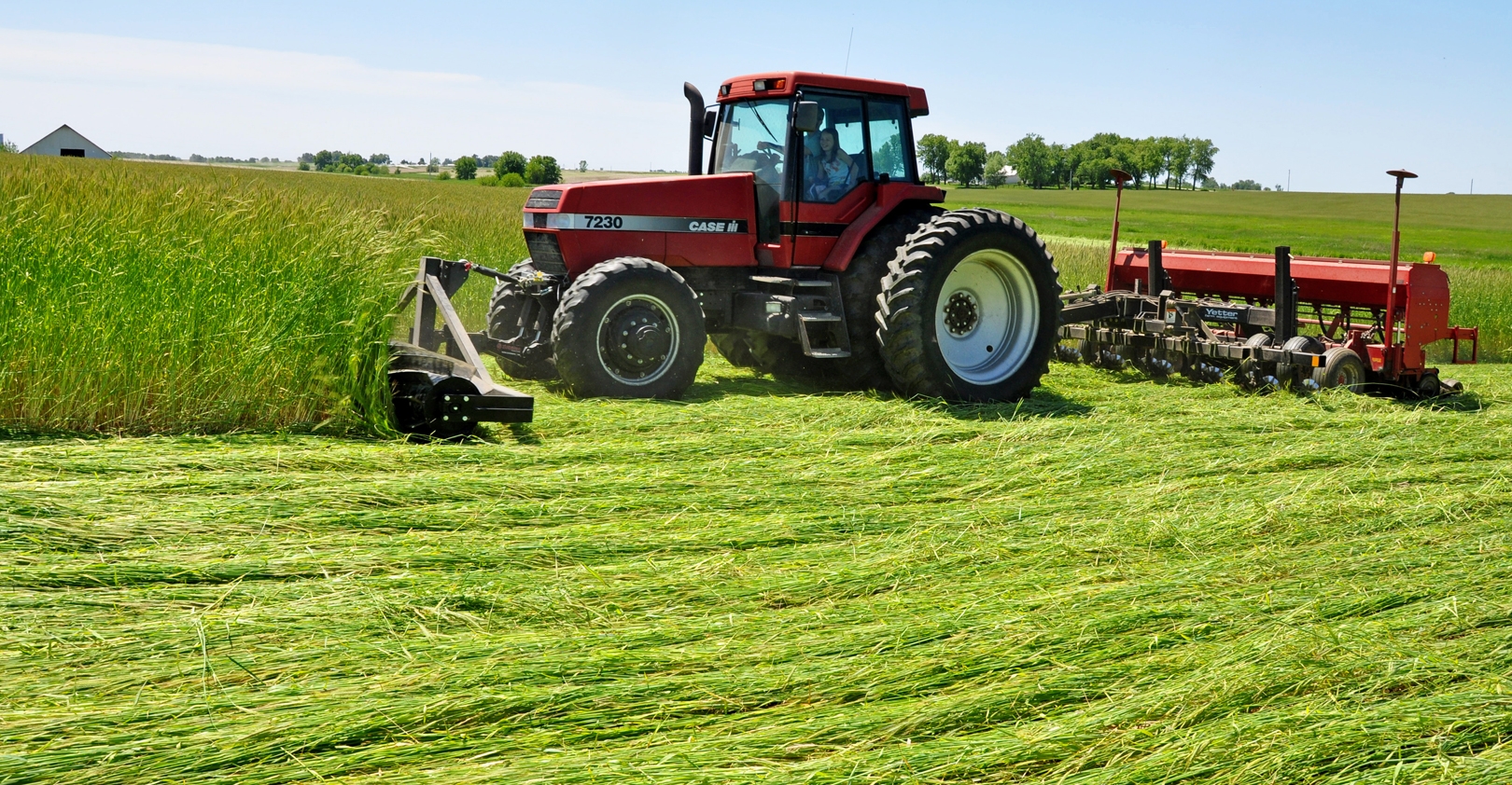 Roller crimper key in organic no-till system | Farm Progress