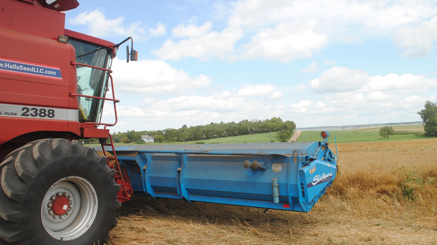 Small grains in crop rotation: Strategies for economic success