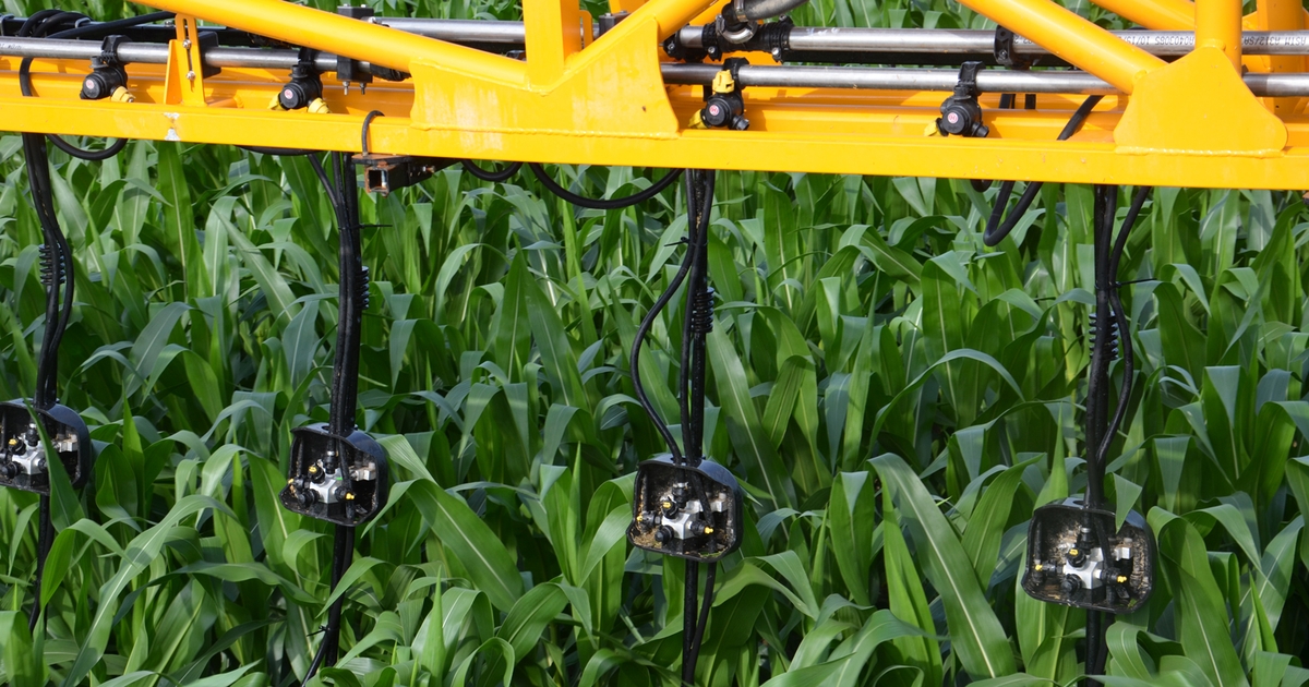 Why nitrogen efficiency in corn should continue improving