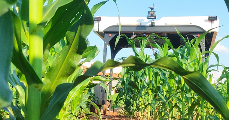 Robot crop scout could drive faster, better input applications