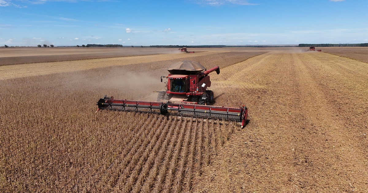 Brazil's soybean boom shocks U.S. farmers