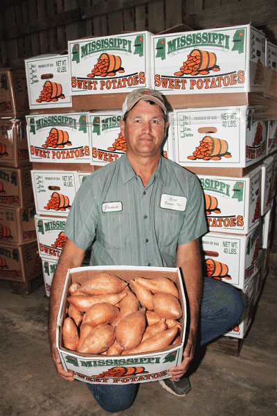 Sweet potatoes ‘a good, solid business’ for Jamie and Ricky Earp