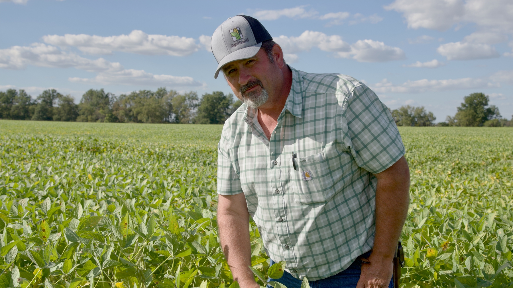 Soybean recent news | Farm Progress