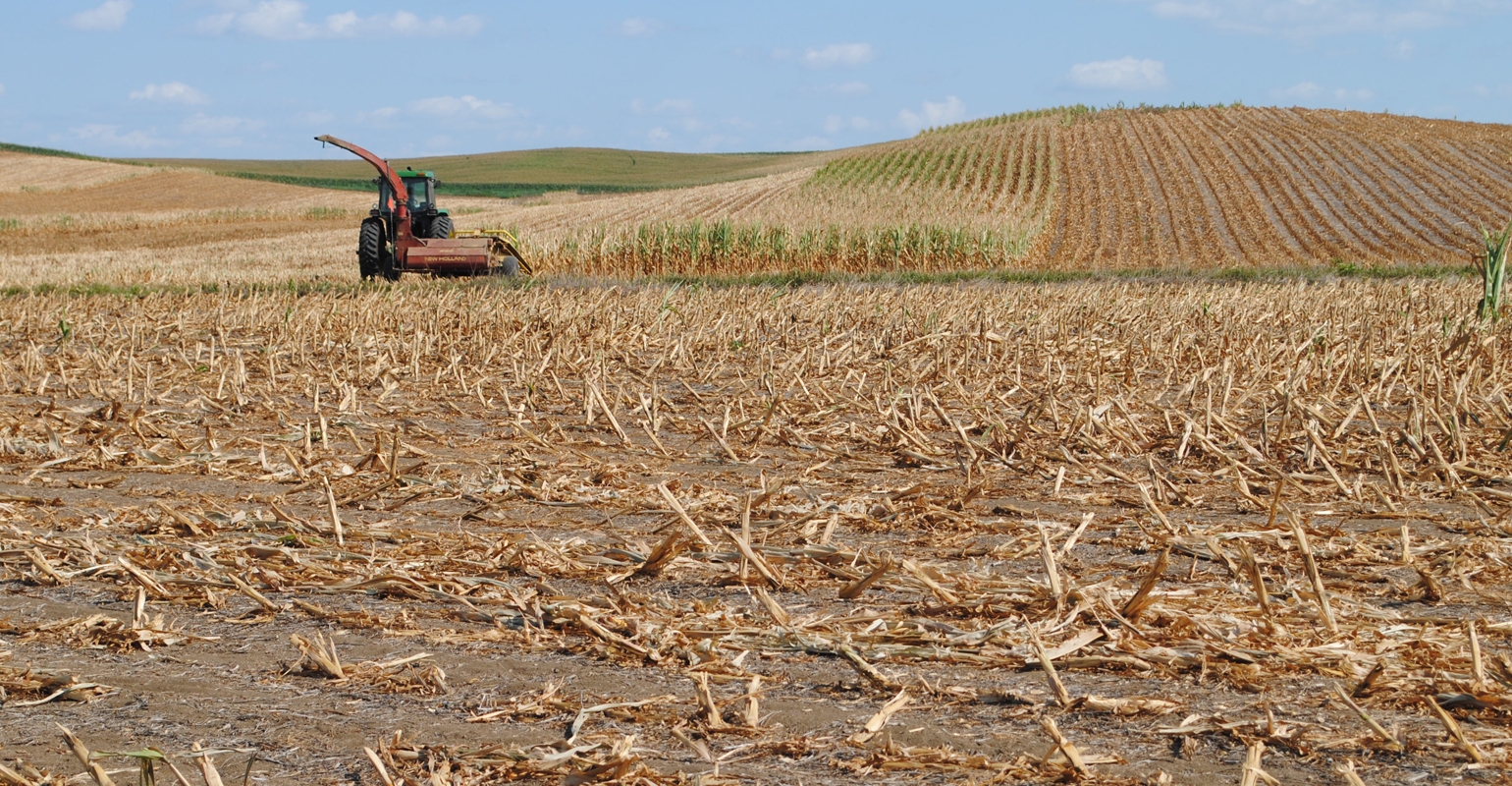 Harvest and store drought-damaged forages